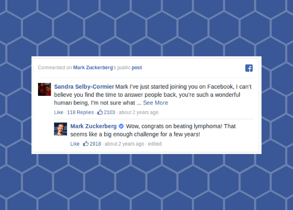 Single comment - WP Embed FB